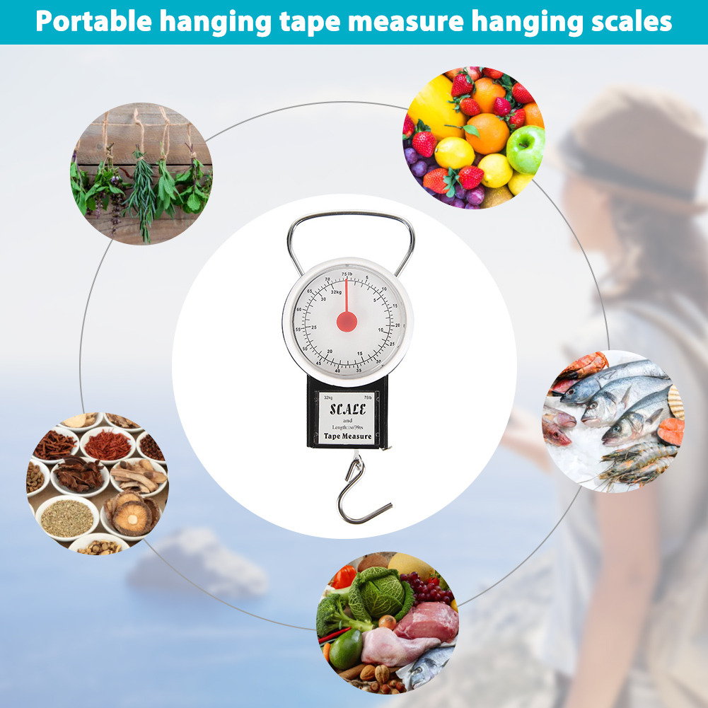 Portable Mini 22kg50lb Hanging Scale Balance Fish Hook Weighing Balance ...