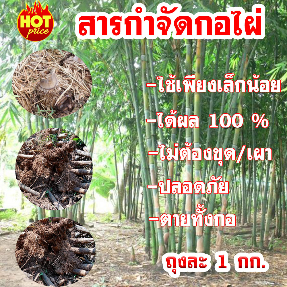 ผงกำจัดกอไผ่ สารกำจัดไผ่ สารเคมีกำจัดต้นไผ่ สูตรเข้มข้น บรรจุ 1 ...