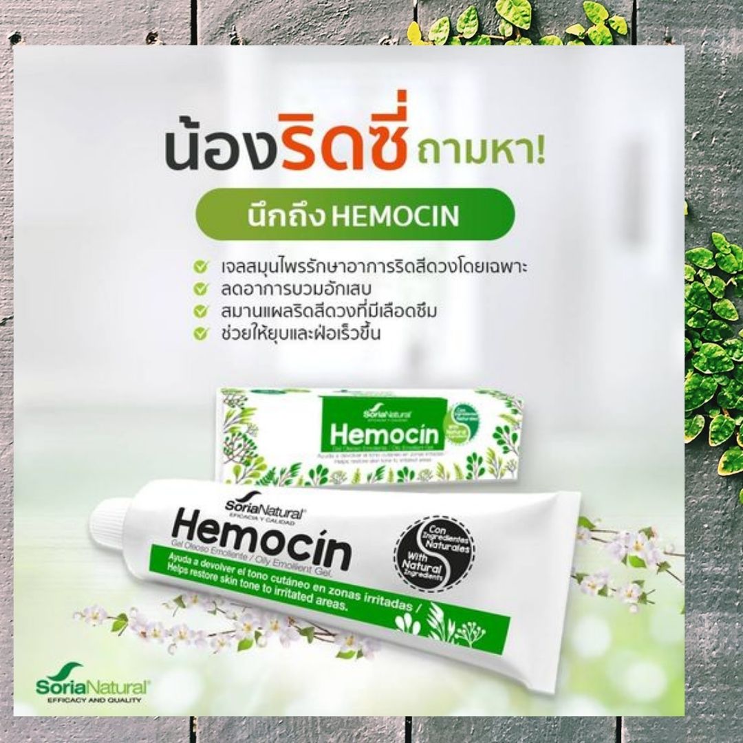 เจลทาริดสีดวงทวาร HEMOCIN 40 ML.เจลสมุนไพรนำเข้าจาก สเปน ช่วยลดบวม เป็น ...