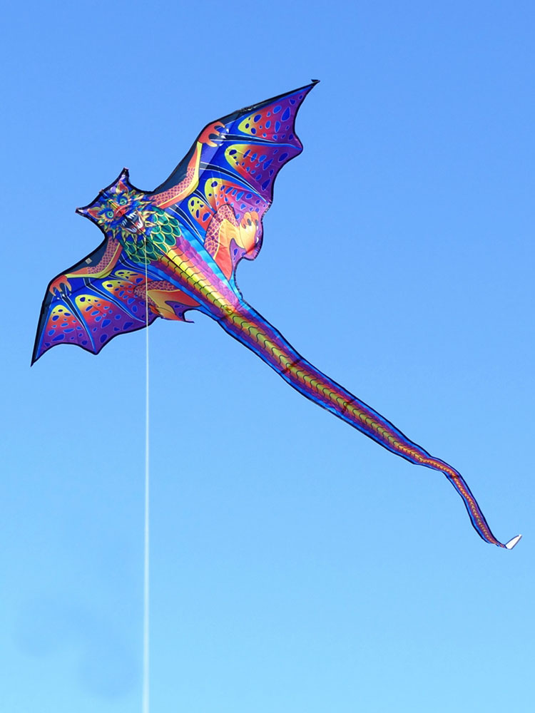 free shipping 3d dragon kite for kids kite nylon toys flying eagle ...