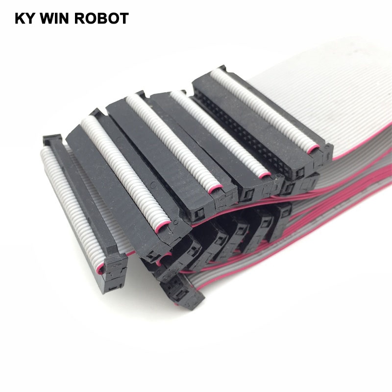 40 PIN Flat Ribbon Cable wires 300mm 30cm Spacing 2.54mm 40 Core GPIO ...