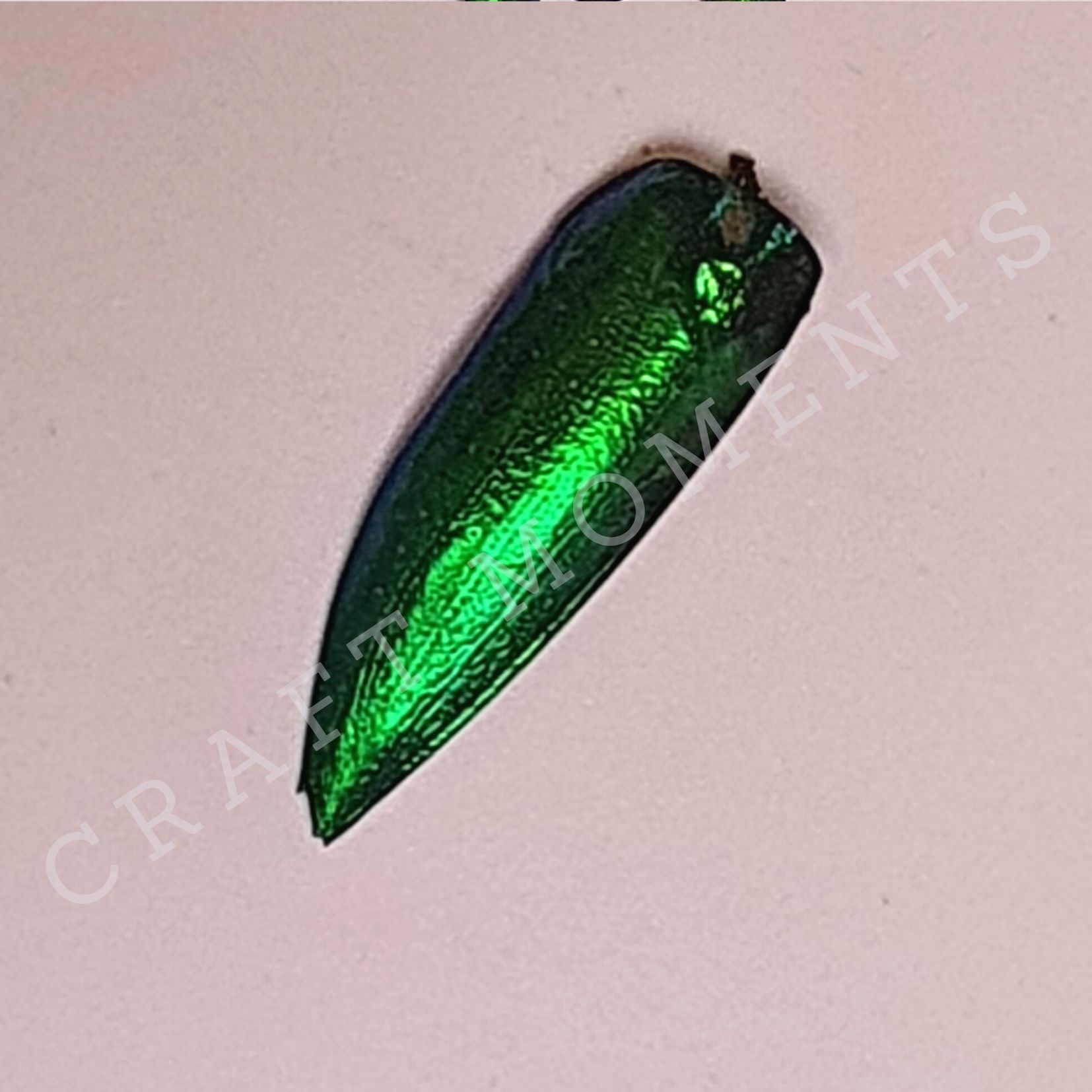 CRAFT MOMENTS ปีกแมลงทับ METALLIC WOOD-BORING BEETLE WING JEWEL BEETLE ...
