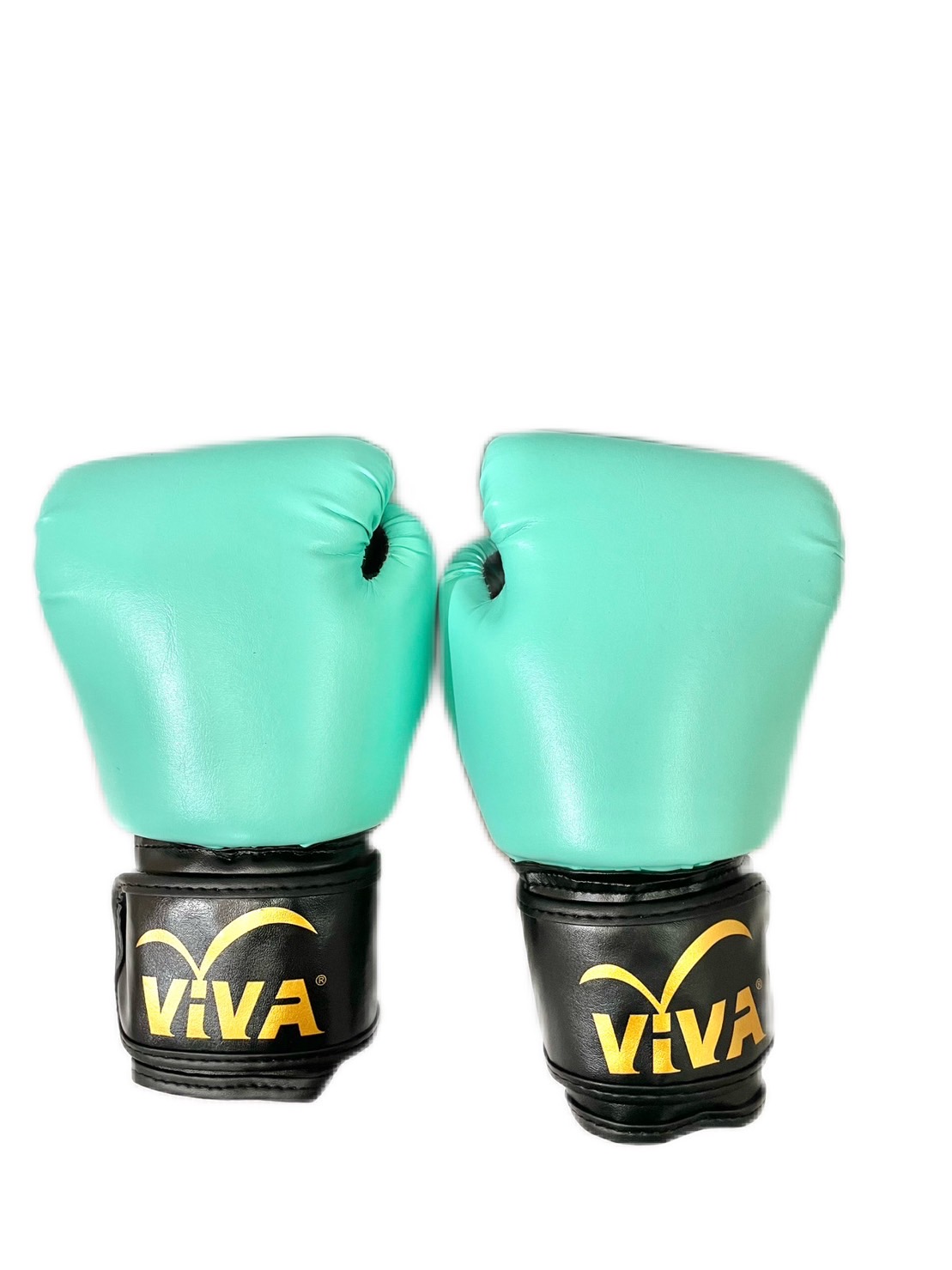 VIVA นวมมวยฝึกซ้อม รุ่น Candy Series ขนาด 12 ออนซ์ | Lazada.co.th