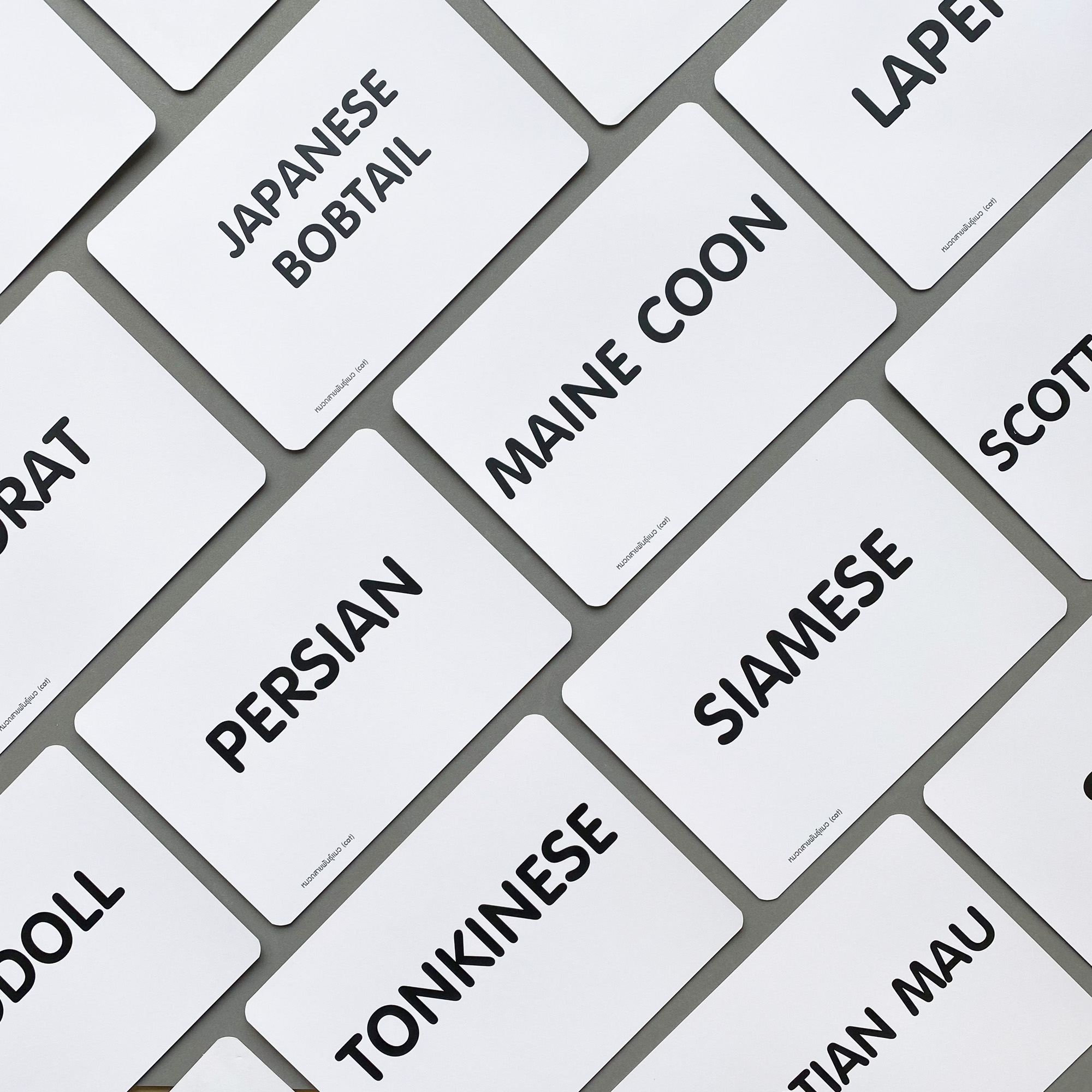 Flash card แมว (Cat breeds) จำนวน 25 ใบ ขนาด A5 kp 039 - winnashop ...