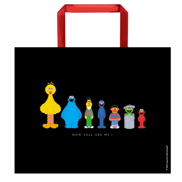 SST Sesame Street family PP Woven Tote bag W50XH40XS15 cm | Lazada.co.th