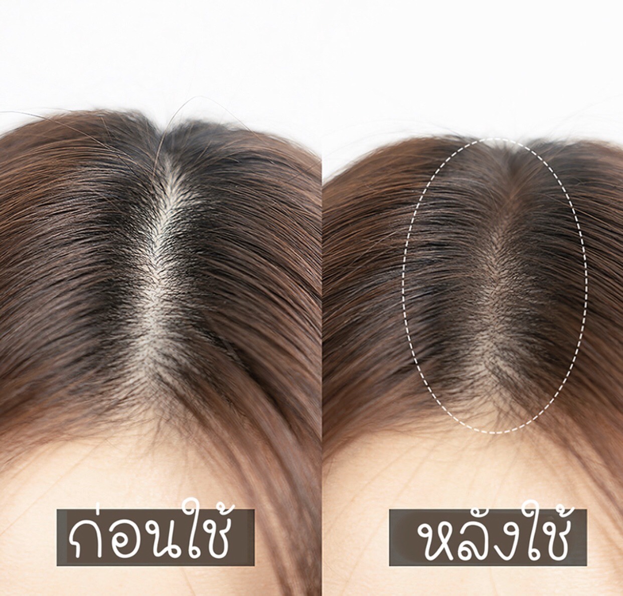 (ของแท้/พร้อมส่ง) ที่ปิดเหม่ง BANGNA Pang Pang Hair Shadow 4g ผมน้อย ผม ...