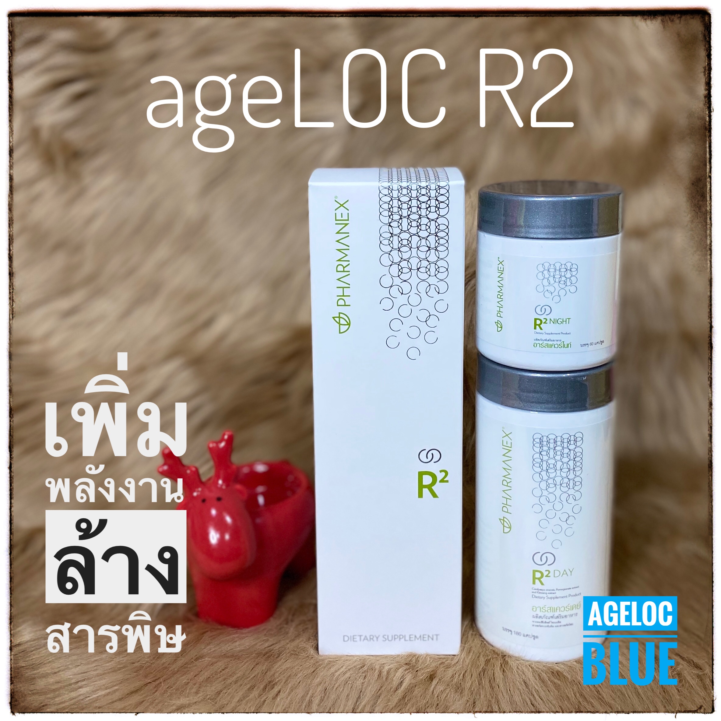 Pharmanex - ageLOC Y SPAN (นูสกิน เอจล็อค วายสแปน) หมดอายุ 04/23 - MMM1 ...