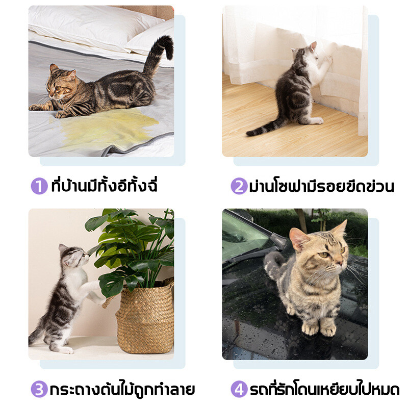 ฉีดแล้ว ตั้งเขตหวงห้าม สเปรย์ไล่หมา ป้องกันหมาแมวฉี่ไม่ถูกท สเปรย์ไล่ ...