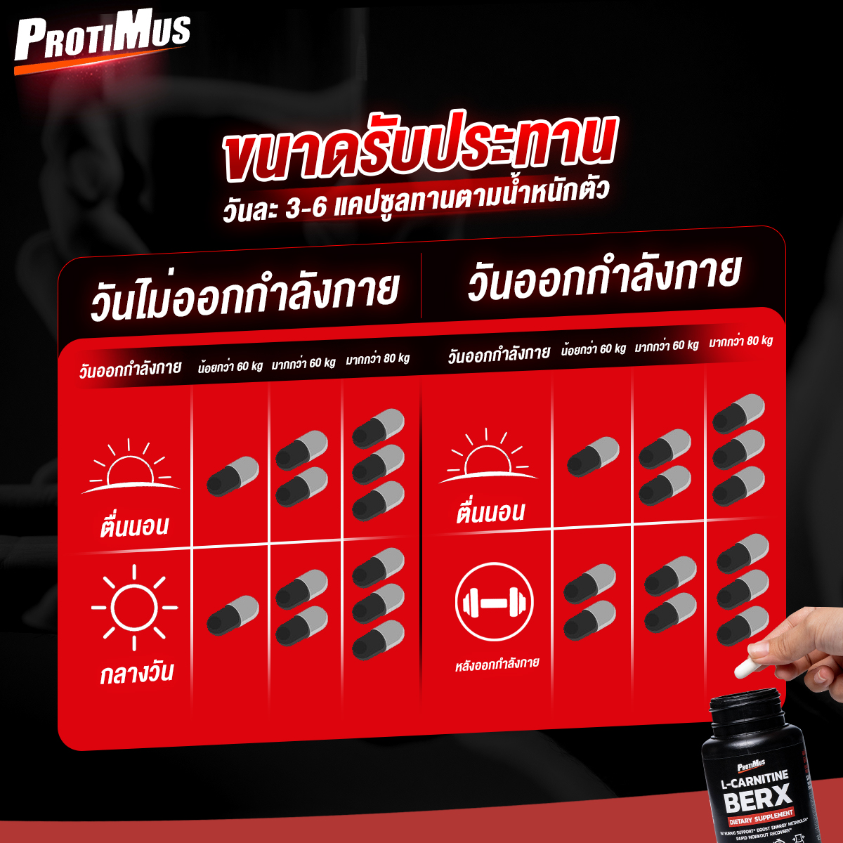PROTIMUS L-Carnitine เบิร์นไขมัน เปลี่ยนไขมันเป็นพลังงาน เหมาะสำหรับคน ...