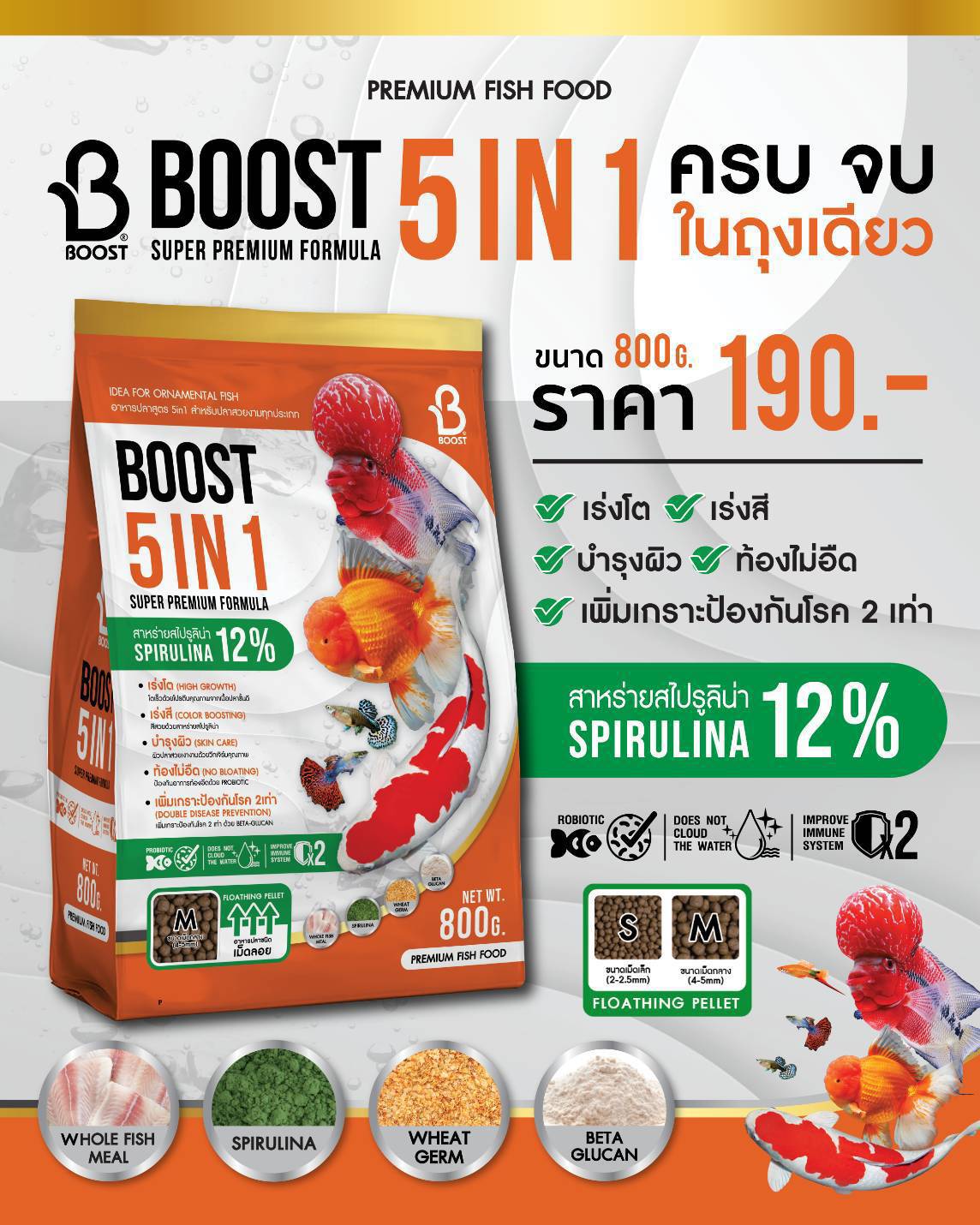 ใหม่️อาหารปลาคาร์ฟ ปลาทอง ปลาสวยงาม Boost 5in1 ครบจบในถุงเดียว ขนาด 800 กรัม - Phoenix FishFood ...