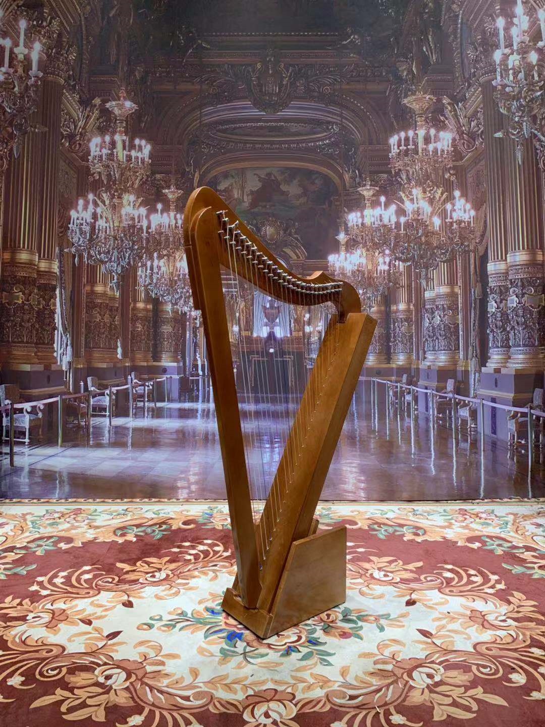 Universal melody small harp Celtic harp 26 strings 3 8 degrees travel ...