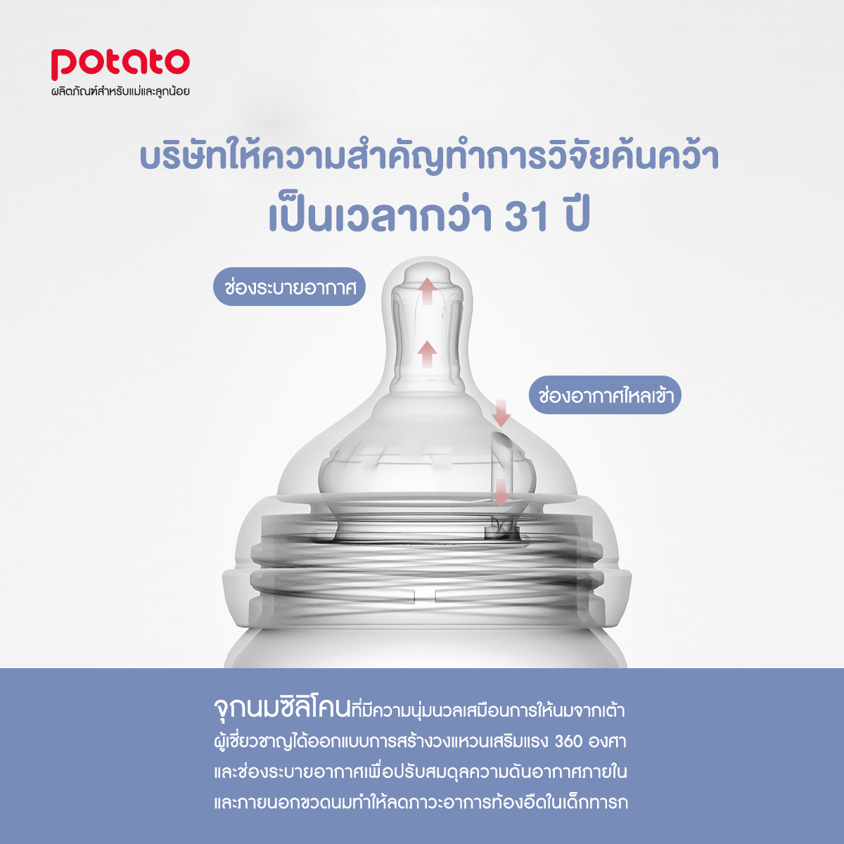 Potato ขวดนมคอกว้างพร้อมจุกนมซิลิโคน วัสดุPPSU ทรงน้องหมีสุดน่ารัก ขนาด 120ml(4oz),160ml(5oz ...