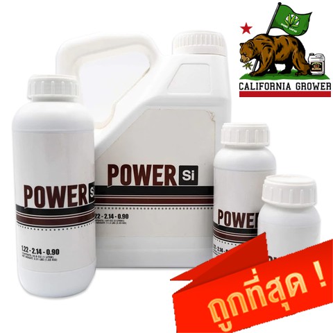 Power SI Original V2 100% (กรด Silicic Acid บริสุทธิ์) ขนาดแบ่ง50-100 ...
