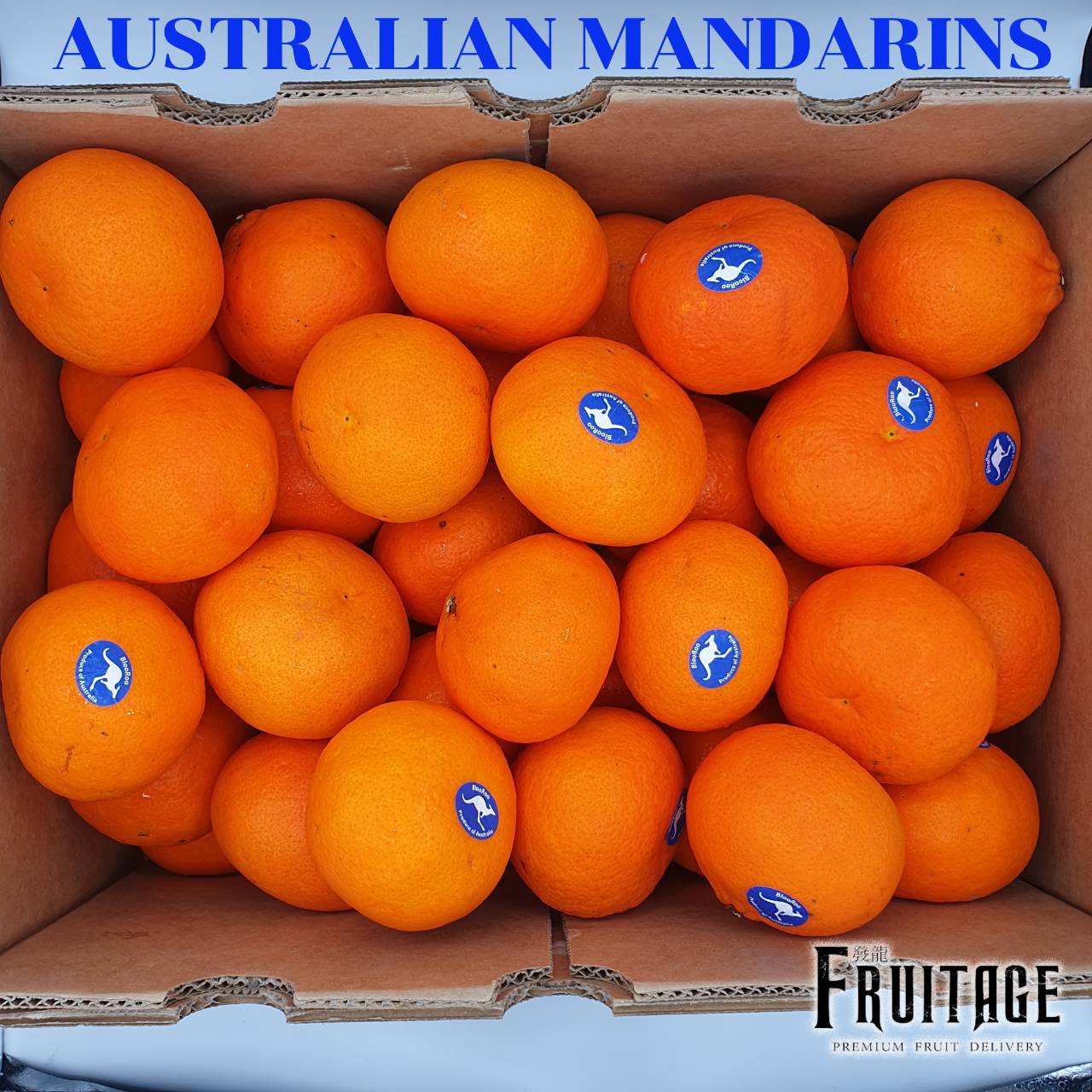 ส้มแมนดาริน ออสเตรเลีย Mandarin Orange (ยกลัง) (AUSTRALIA) ~ลดพิเศษ ...