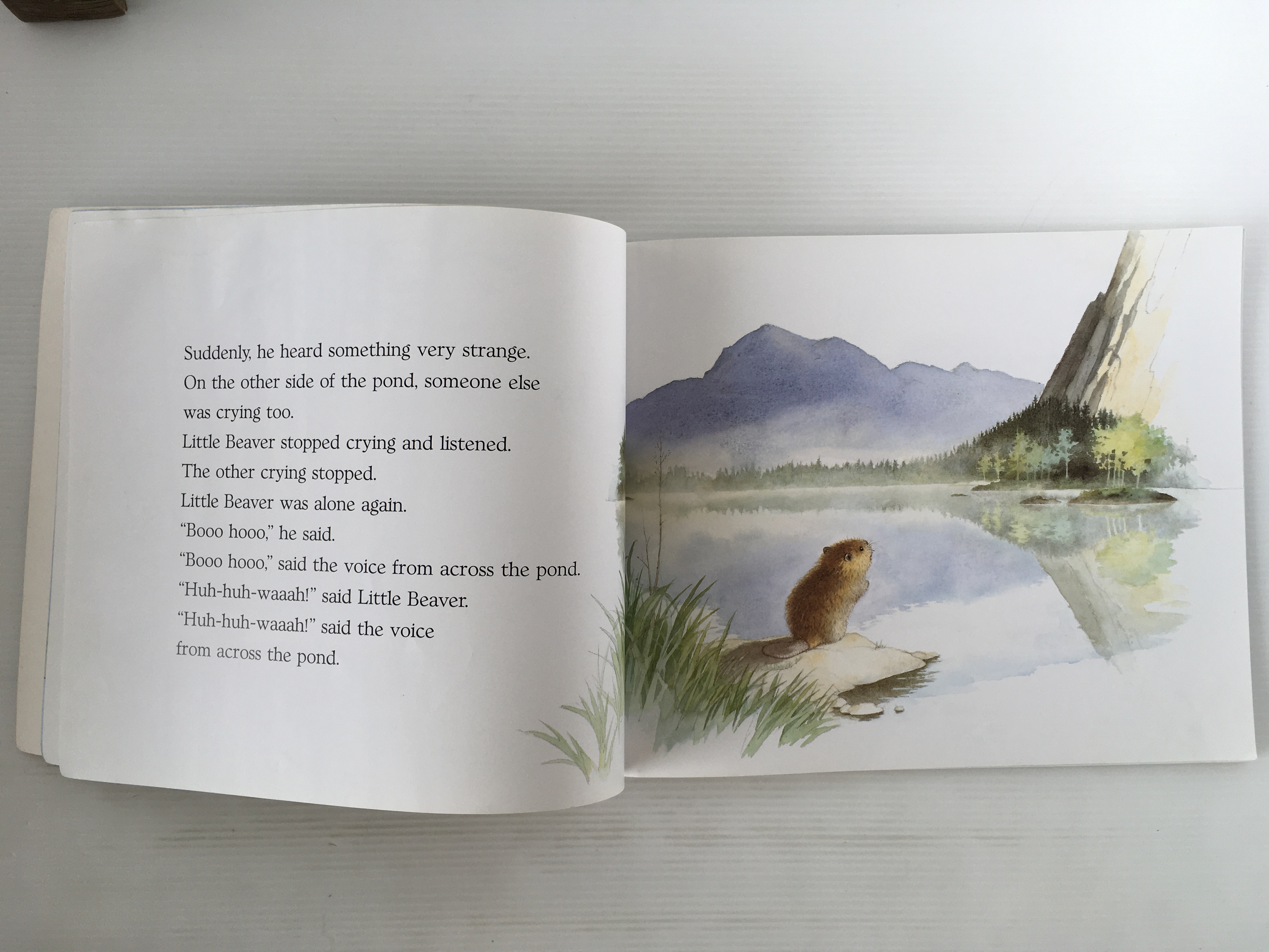 Little Beaver and The Echo by Amy MacDonald Paperback Book หนังสือนิทาน ...