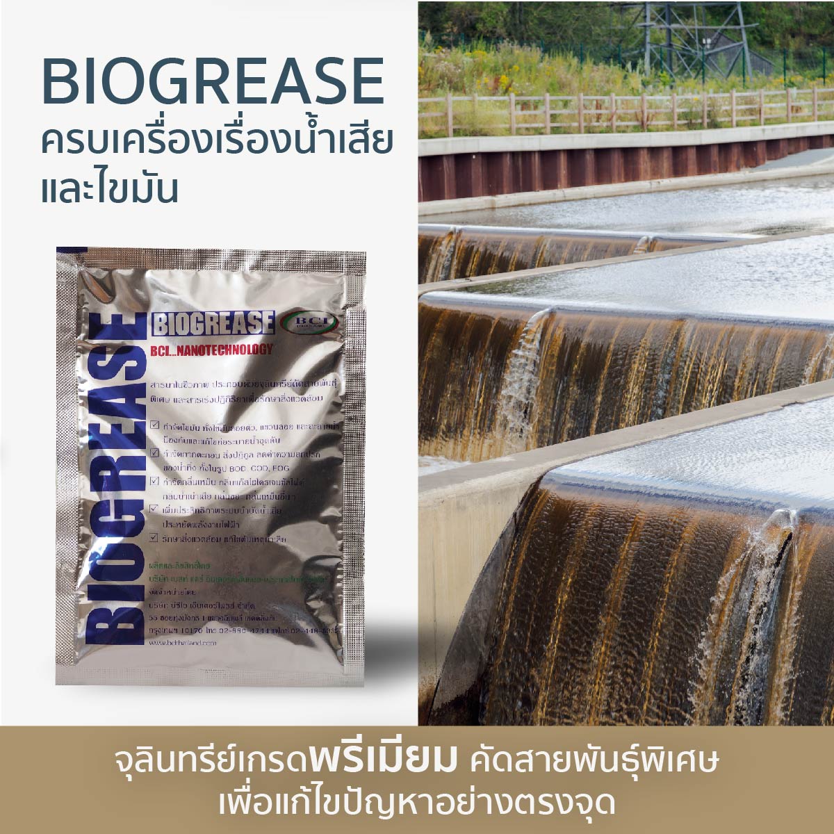 BIOGREASE จุลินทรีย์คัดสายพันธุ์สำหรับบำบัดน้ำเสีย ย่อยสลายไขมัน ปรับค่าน้ำ และกำจัดกลิ่นเหม็น ...
