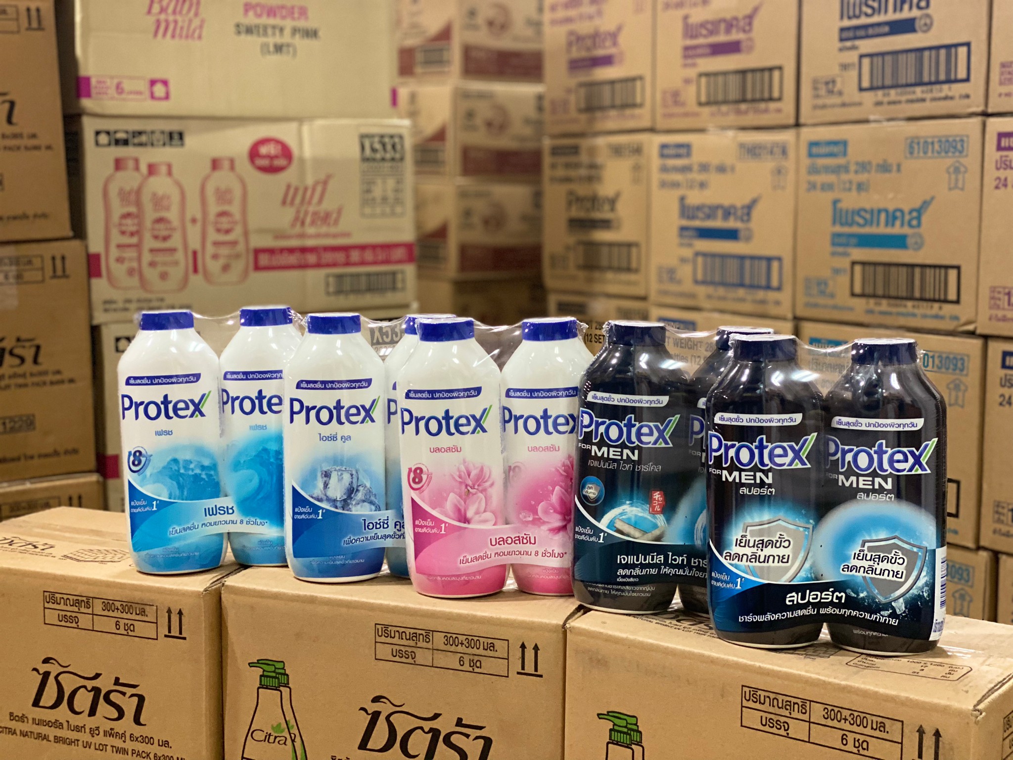 ( แพ็คคู่ ) แป้ง โพรเทค PROTEX 280กรัม แพ็คคู่ | Lazada.co.th