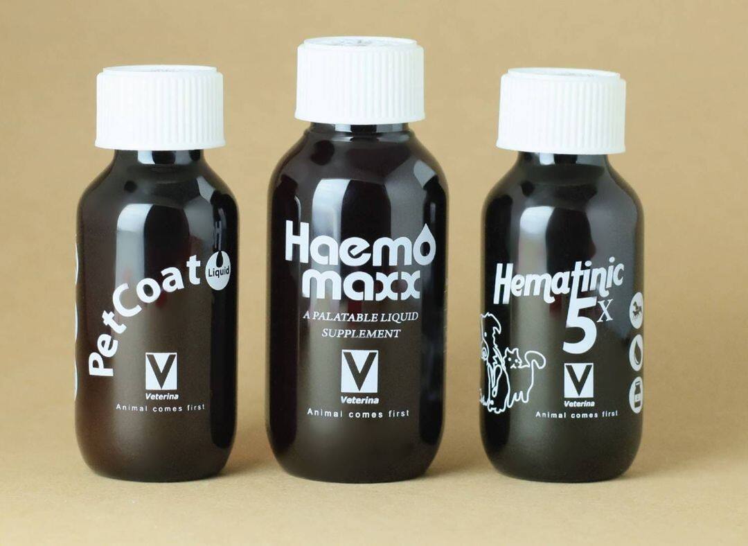 Haemomaxx for puppy and kitten growth อาหารเสริม บำรุงเลือด แม่ตั้งท้อง ...