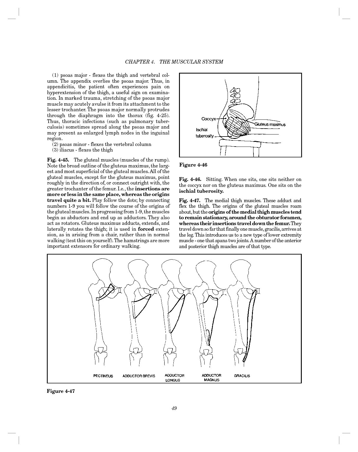 Clinical Anatomy Made Ridiculously Simple, 4 ed - ISBN : 9780940780972 ...
