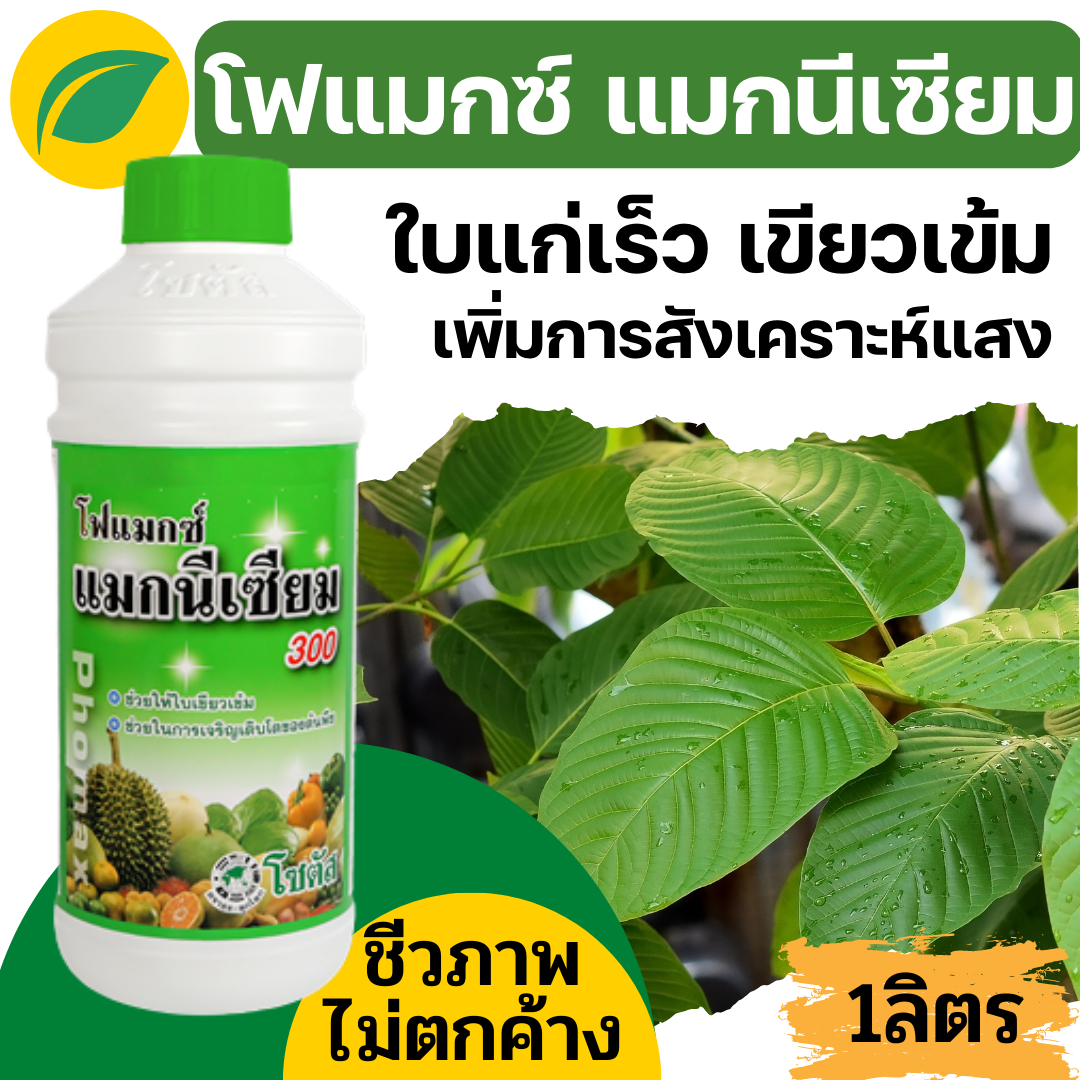 [โซตัส] โฟแมกซ์ แมกนีเซียม 300 (Phomax Mg 300) 1 ลิตร | Lazada.co.th