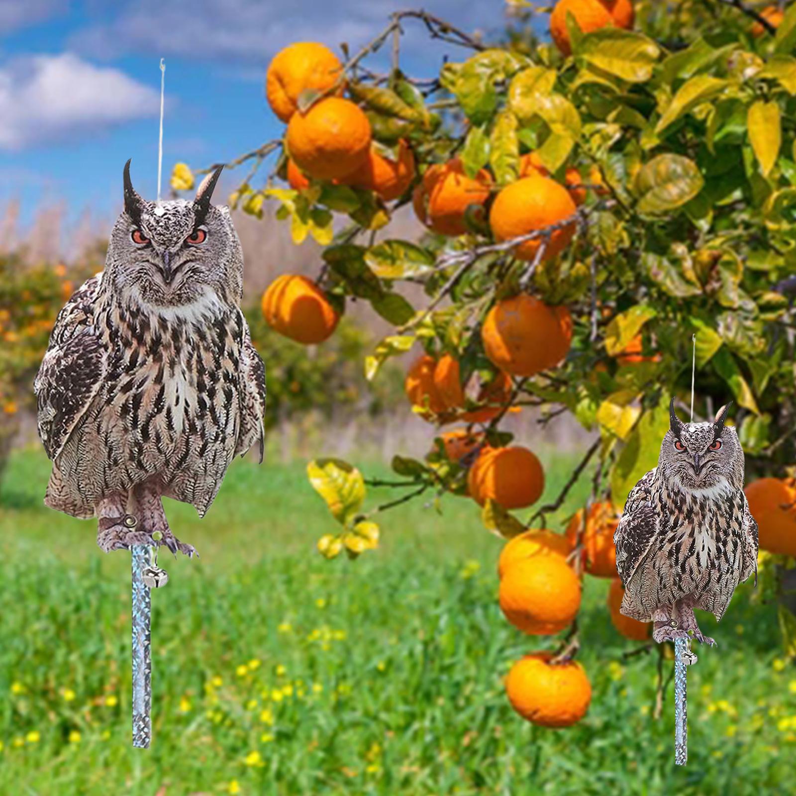 Bird Repelling Owl Laser Reflective Double-sided Simulation Orchard ...