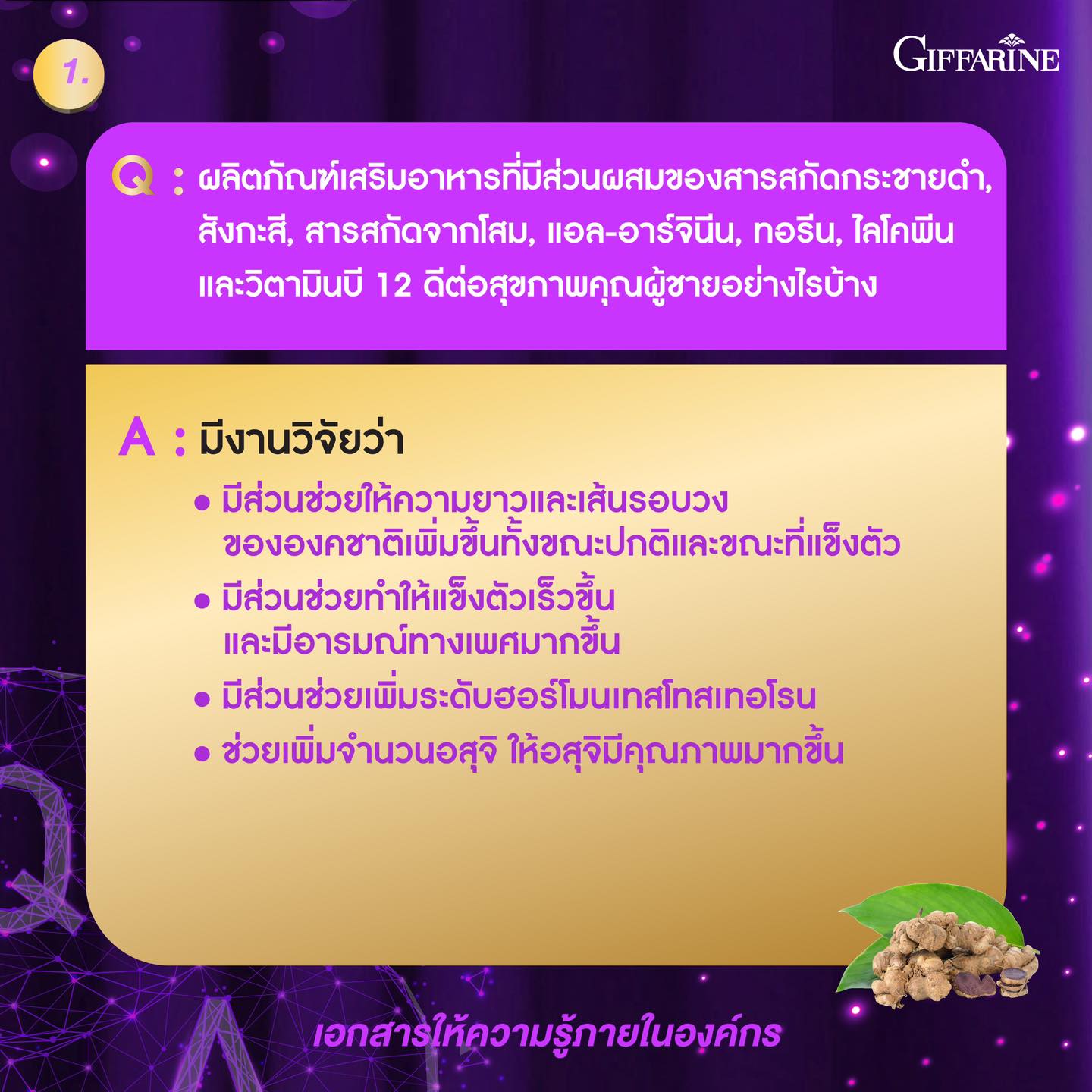 Giffarine Krachai Dum Maxx giffarine-krachai-dum-maxx