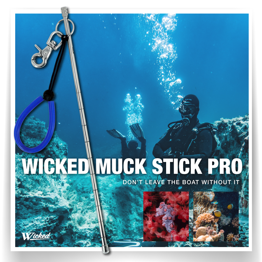 Wicked Muck stick Pro Pointer สแตนเลส 316 สำหรับดำน้ำ - Wicked Design & Engineering - ThaiPick
