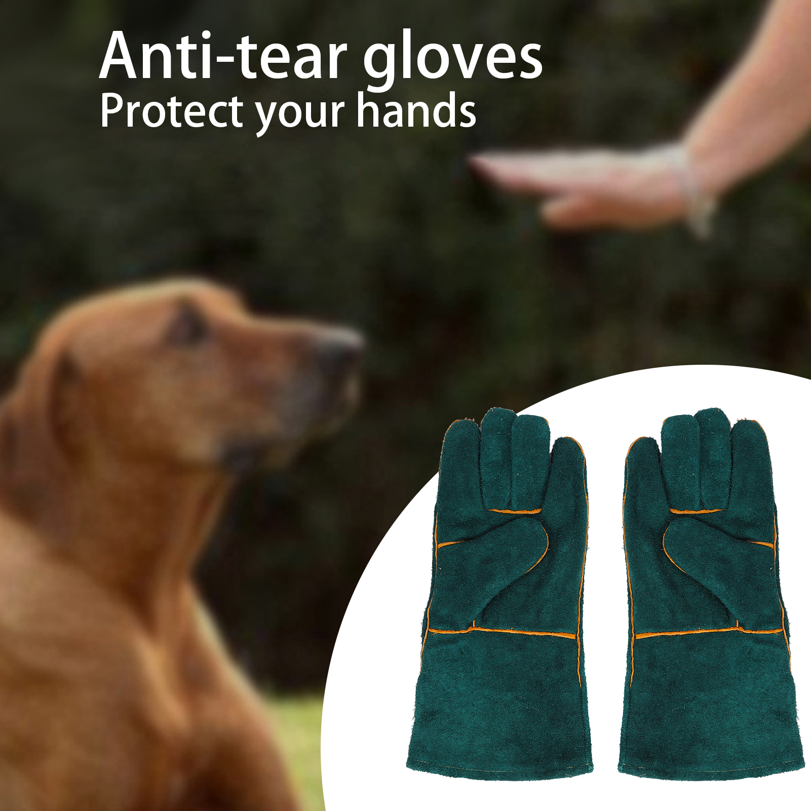 Animal Handling Anti‑Bite Gloves Dog Training Scratch‑Proof Gloves for ...