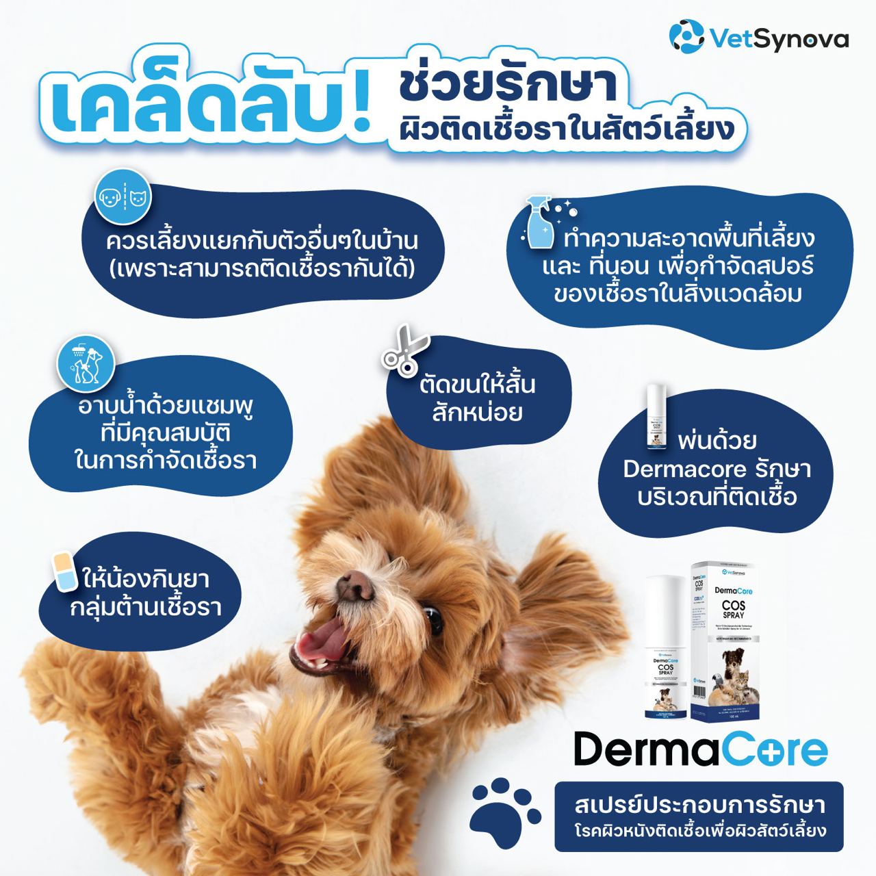 DermaCore COS Spray สปรย์ผิวหนัง - หจก.สวรรคโลกอาหารสัตว์ - ThaiPick