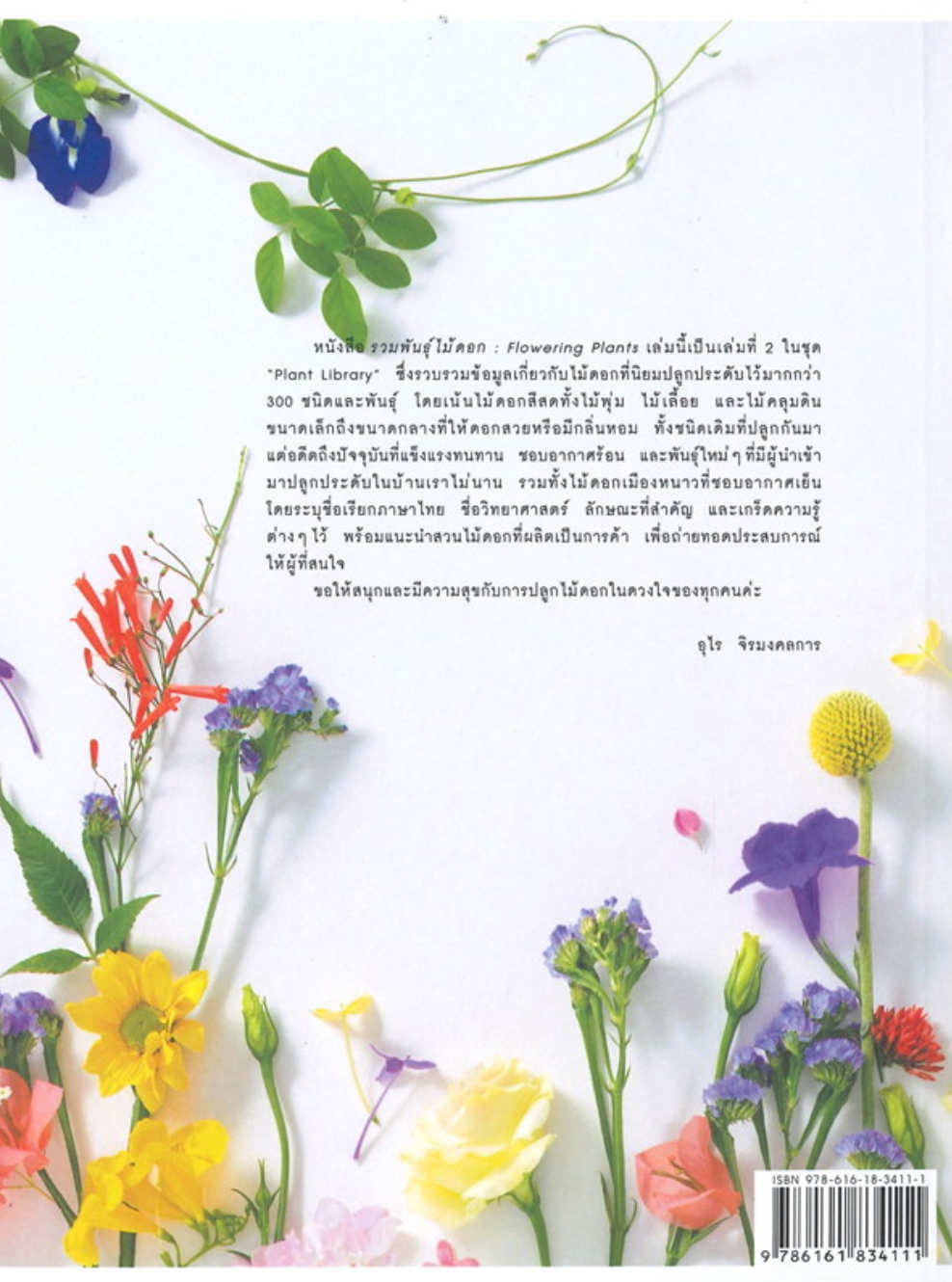 รวมพันธุ์ไม้ดอก Flowering Plants - PATCHA Store - ThaiPick