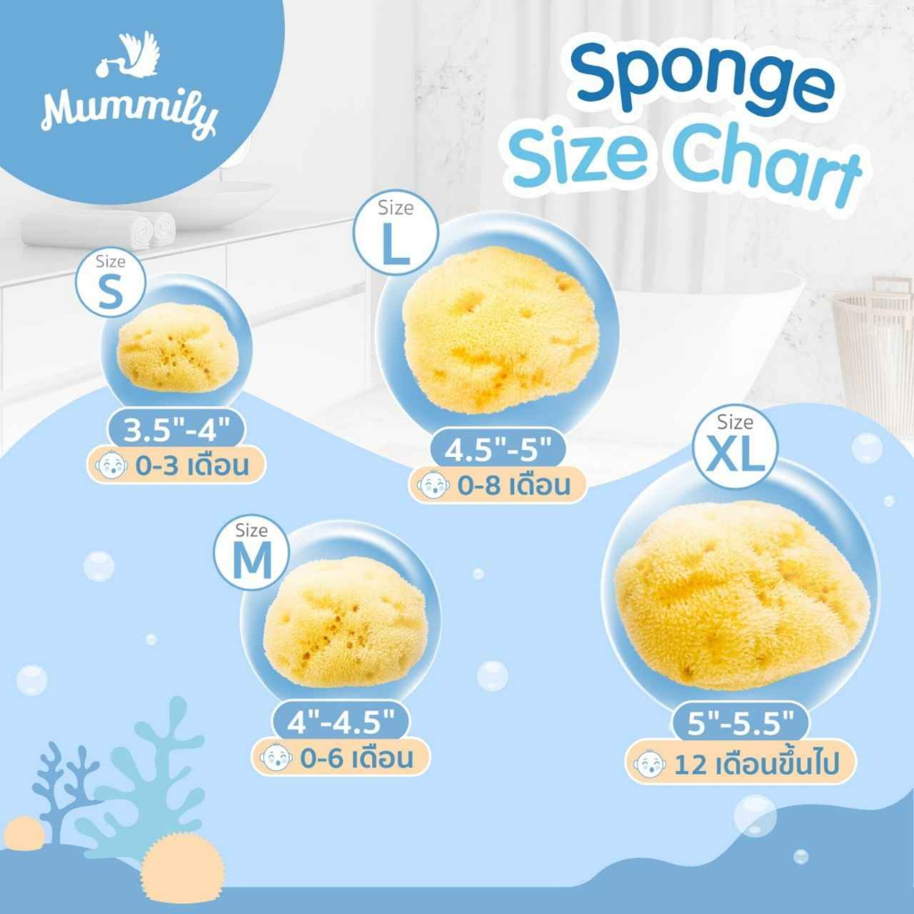Mummily ฟองน้ำ SILK FINE ฟองน้ำธรรมชาติแท้100% ฟองน้ำอาบน้ำเด็ก | Lazada.co.th