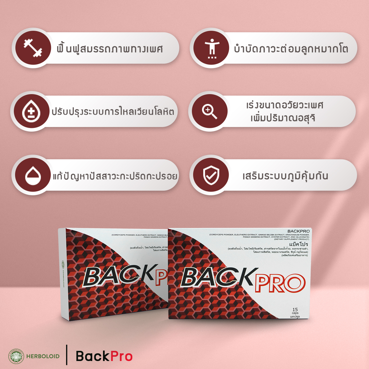 BACKPRO รักษาและป้องกันโรคต่อมลูกหมากอักเสบ ️ 1 กล่อง Back Pro กระตุ้นการไหลเวียนโลหิต เพิ่ม ...