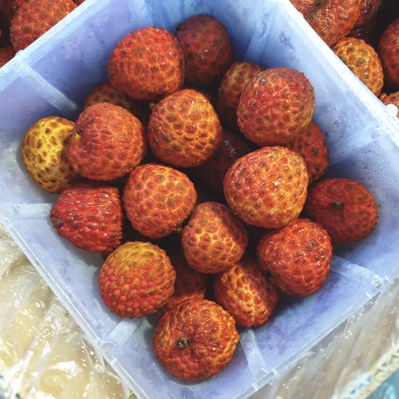 ลิ้นจี่สนมยิ้ม ลิ้นจี่กุ้ยบี้ Lychee (CHINA) (1แพค/1กก.) ~ลดพิเศษ~จัด ...