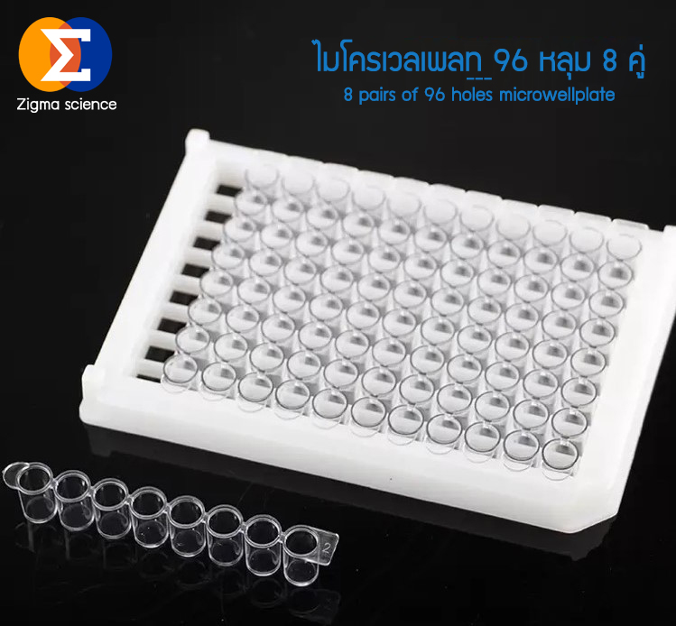 Zigma science - Detachable ELISA Plate, ไมโครเพลท, ไมโครเวลเพลท, ไมโคร ...