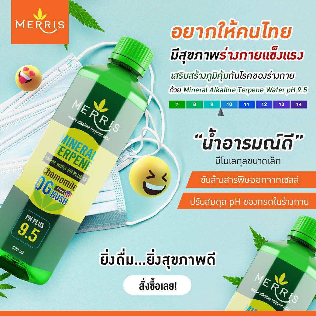 Merris Merris เครื่องดื่มน้ำแร่ อัลคาไลน์ เทอปีน น้ำดื่มอารมณ์ดี 1 ขวด ...