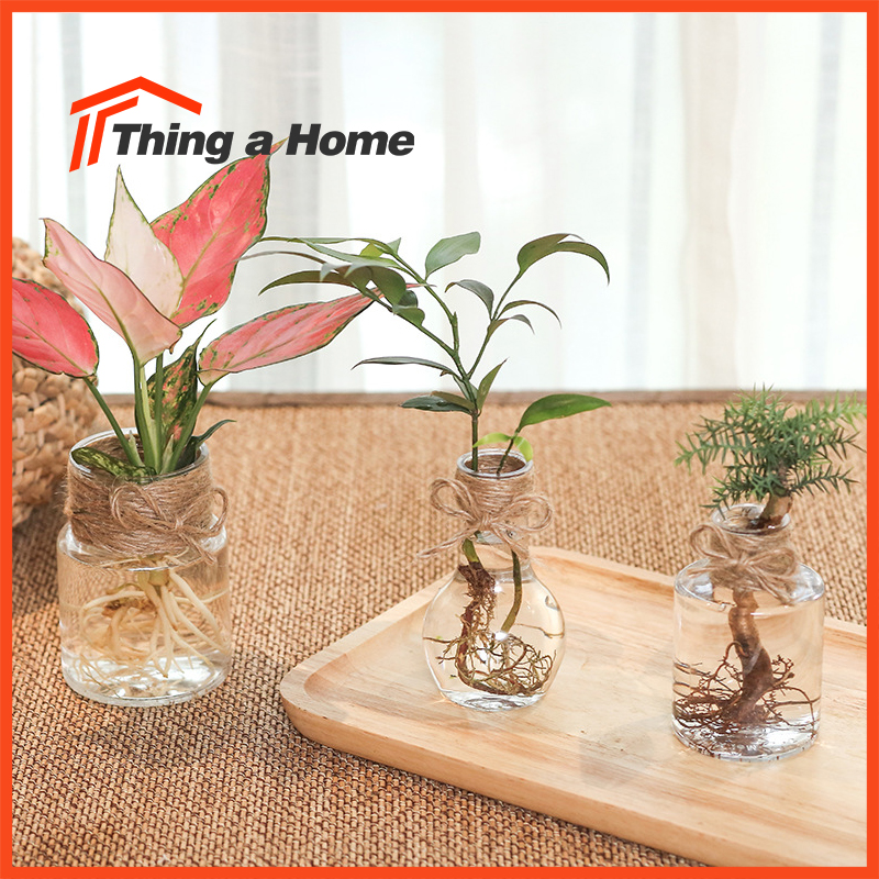 Thing a Home แจกันดอกไม้ แจกันพลากสติก รูปทรงน่ารัก สำหรับตกเเต่งบ้าน ...