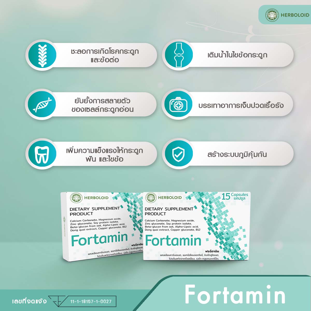 FORTAMIN Herboloid ผลิตภัณฑ์บำรุงกระดูก และข้อต่อ - 6 แถม 3 - Herboloid ...