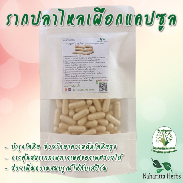 ปลาไหลเผือก Tonkat Ali ขนาด 50/100cap. (500ม.ก) เลือกขนาดได้ สมุนไพร ...