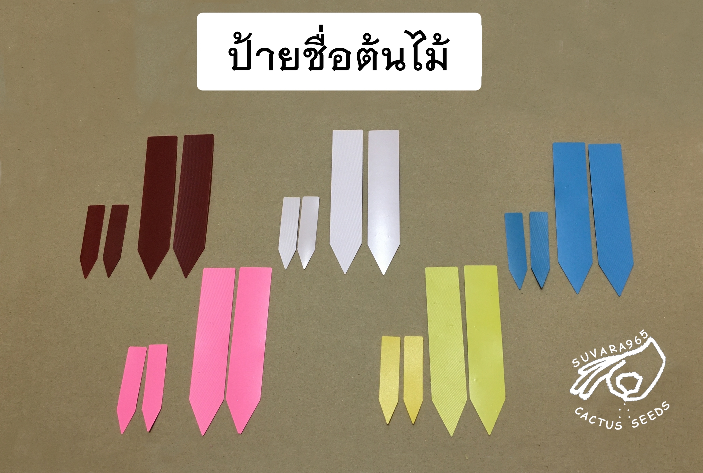 หางลิง หางกระรอก ตัดสด หางสิงห์ หางกระรอกแดง หางกระรอกเหลือง กระบองเพชร ...