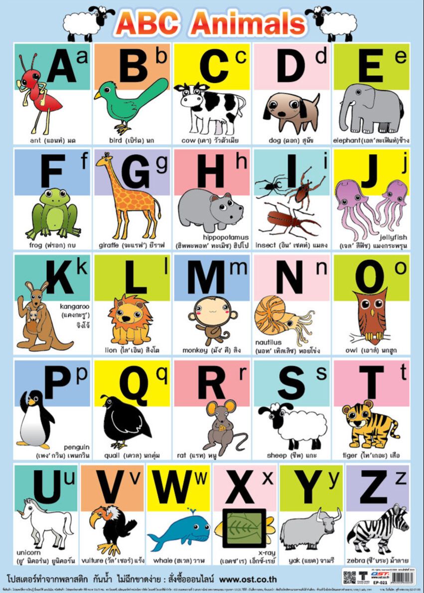 โปสเตอร์กระดาษ ABC Animals #EQ-021 | Lazada.co.th