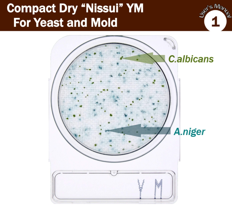 ชุดตรวจเชื้อรา Compact dry yeast and mold | Lazada.co.th