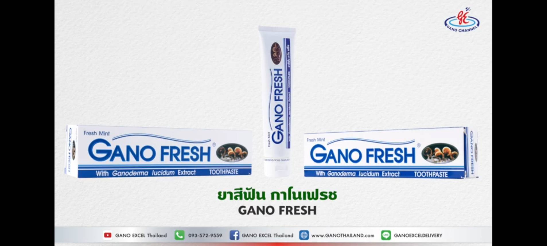 กาโน เฟรช ยาสีฟัน - GANO FRESH TOOTHPASTE | Lazada.co.th