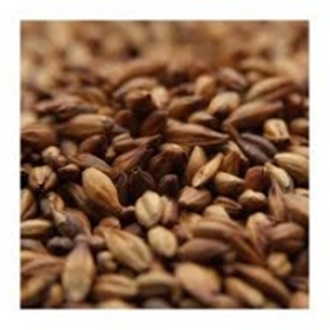 Brown Malt (Thomas Fawcett)(1 lbs) - homebrewthai - ThaiPick