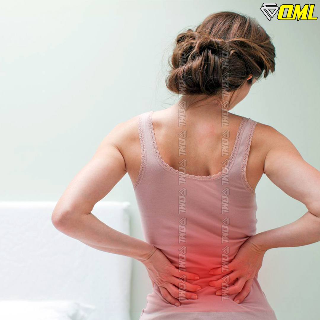 OML Welly-J ที่พยุงหลัง ว้าว ใส่เจลเย็นได้ ฟรี แผ่นรองหลัง 3 แบบ เข็มขัดพยุงหลัง ที่ดัดหลัง สาย ...