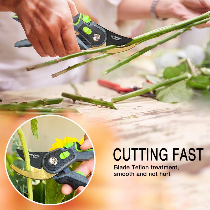 Plant trim horticulture Hand pruner cut secateur Shrub Garden tool ...
