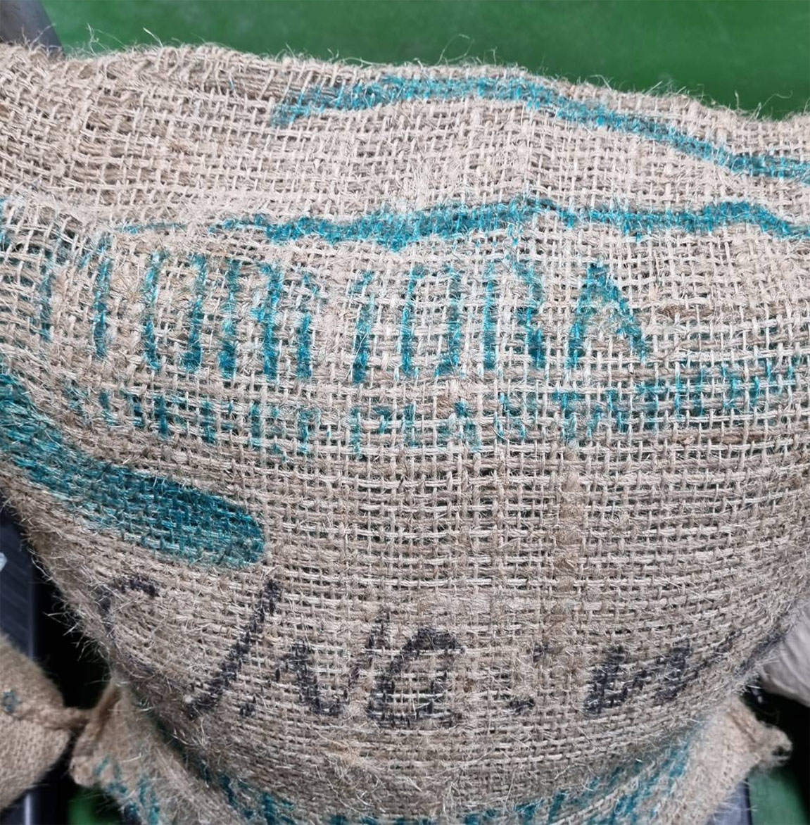 Ethiopia Mormora Natural กาแฟเอธิโอเปียคั่วอ่อน - Mister Lee's - ThaiPick