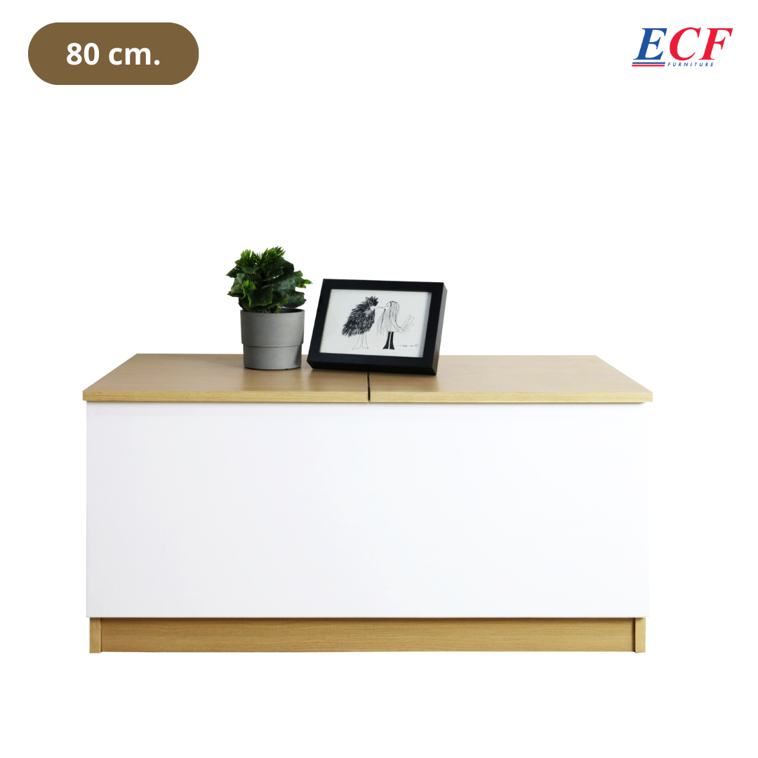 ECF Furniture ตู้เก็บของ บานเปิดบน รุ่น Finlivia ตู้เก็บของอเนกประสงค์ เก็บได้สารพัดสิ่ง ...