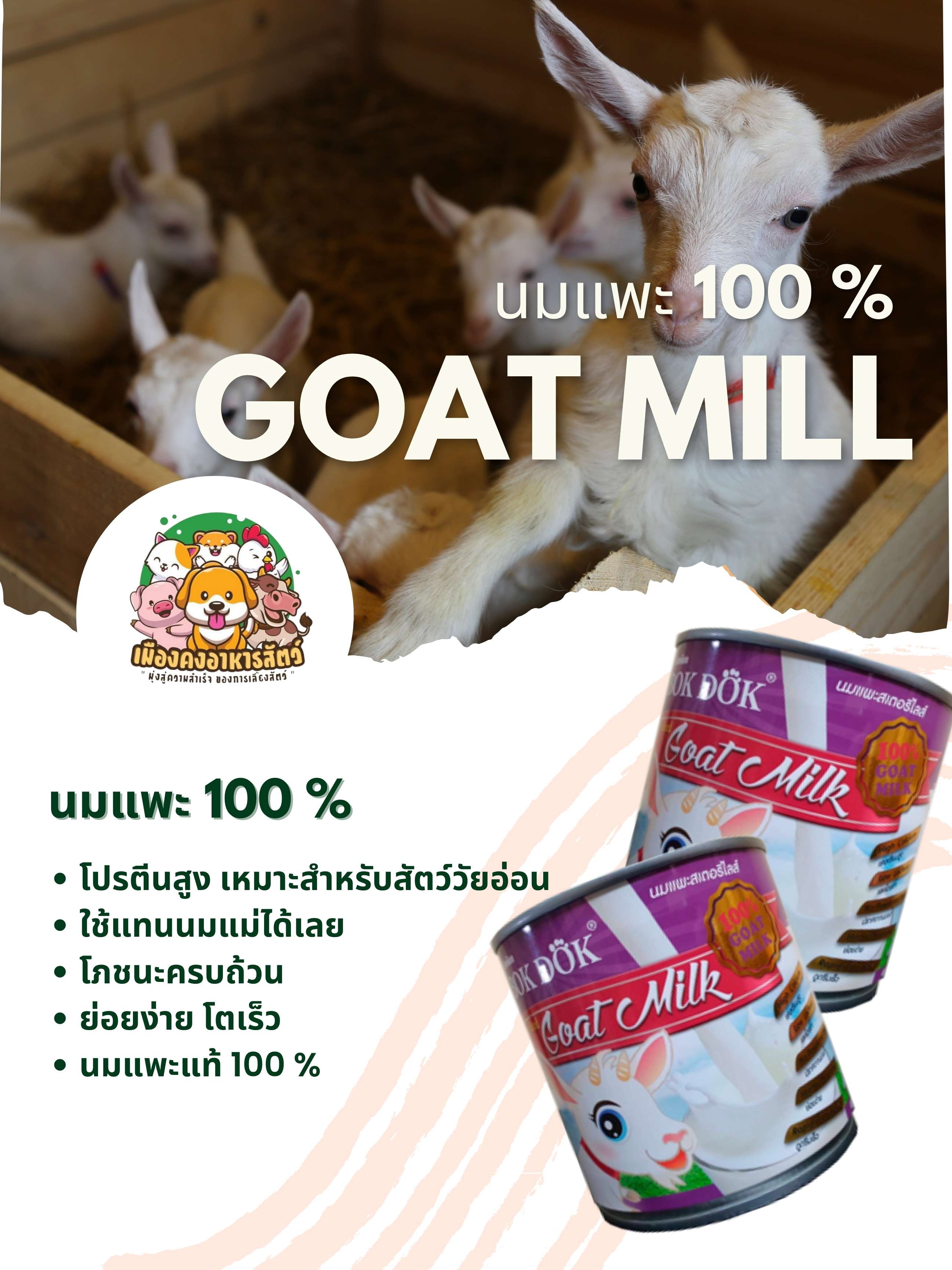 นมแพะ 100 GOAT MILL - เมืองคงอาหารสัตว์ - ThaiPick