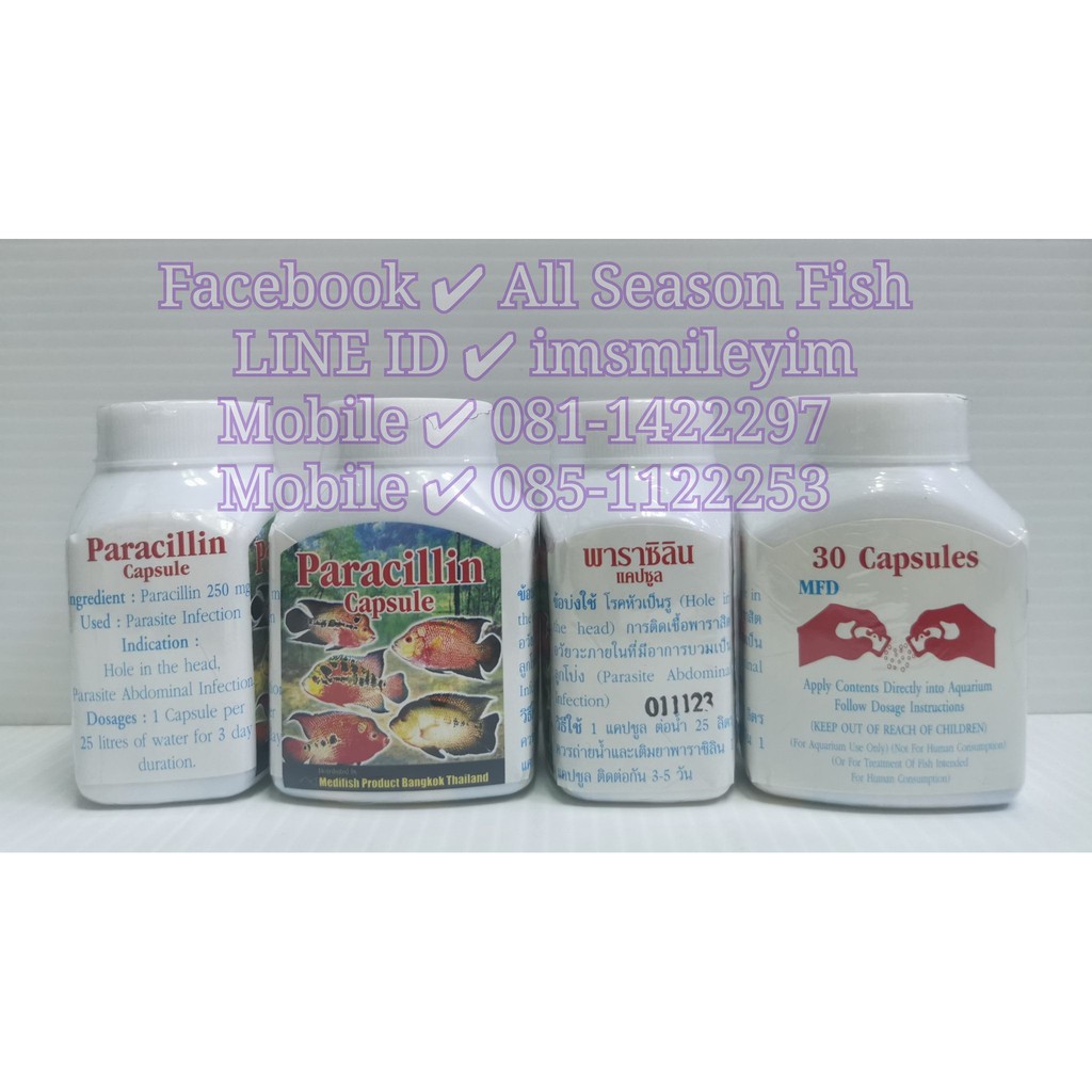 30 แคปซูล MEDIFISH Paracillin - พาราซิลิน รักษาโรคหัวเป็นรู อวัยวะภายใน ...