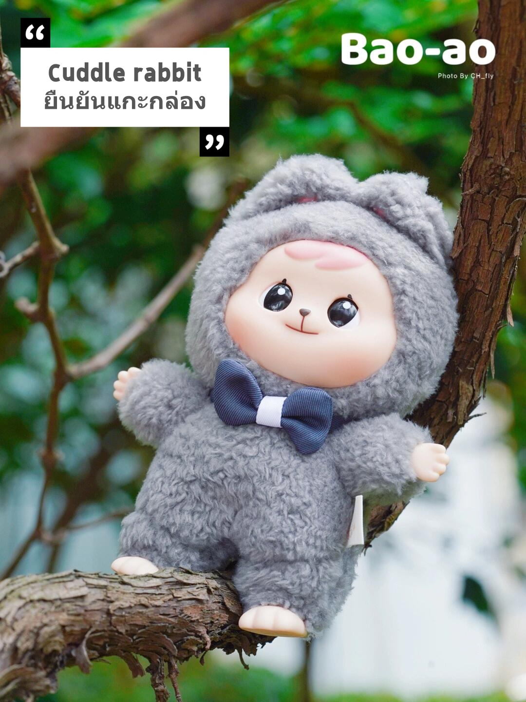 สินค้าพร้อมส่ง1-2วัน Bao-ao Hug series plush blind box ของแท้100 ...